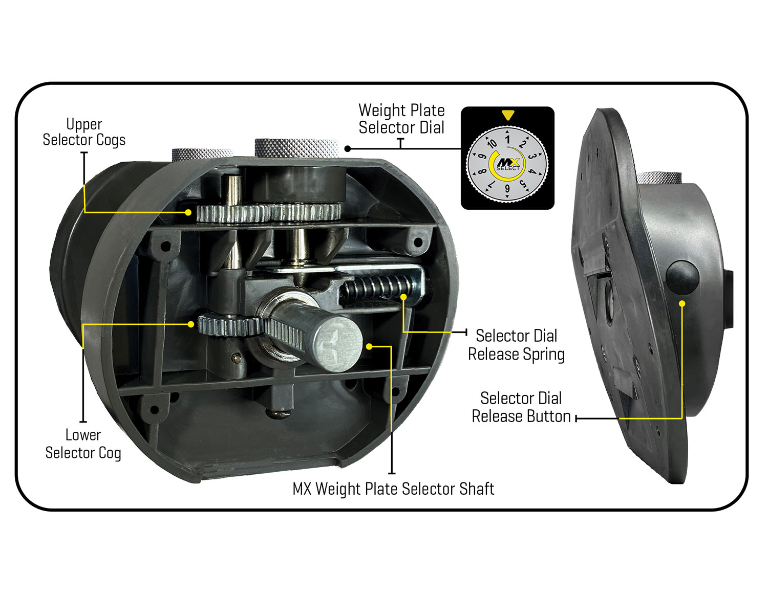 MX55 Adjustable Dumbbells | MX Select | Rapid Weight Change System